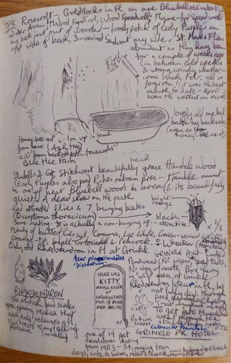 Stories From The North East Archive Notebooks Of David Green Natural History Society Of