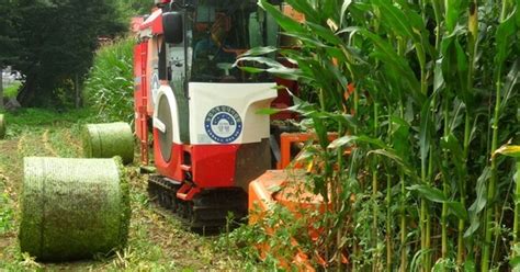 양평군 자주식 옥수수 수확기 베일러 본격 운영