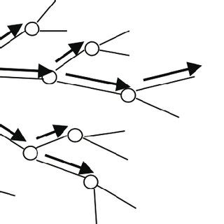 Flooding Of Query Packets In The Network Download Scientific Diagram