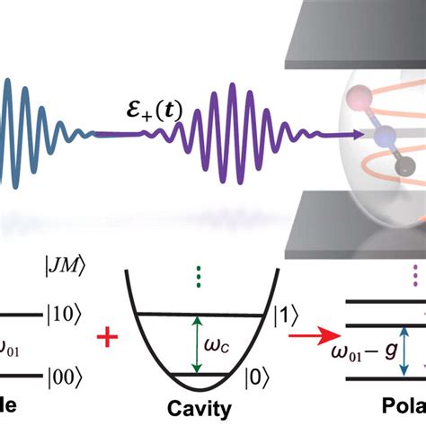A Schematic Of A Composite Pulse Driven Molecular Polariton And The