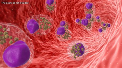 3d Macrophage Blood Cell Turbosquid 2131723