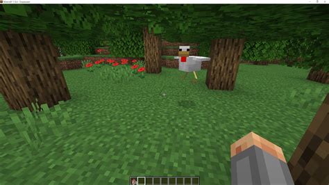 Chicken Detect Object Detection Dataset By Ddddd