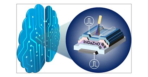 Amorphous Ingazno A Igzo Synaptic Transistor For Neuromorphic