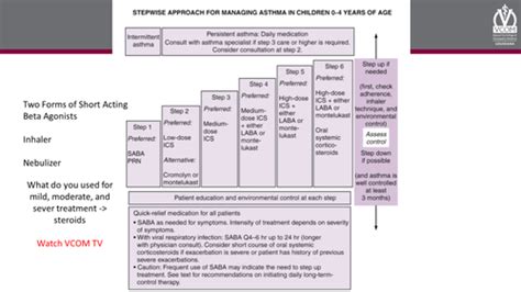 Block 4 Lecture 30 Asthma Flashcards Quizlet