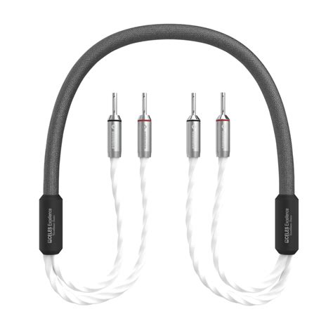 Celes Excellence Audiomica