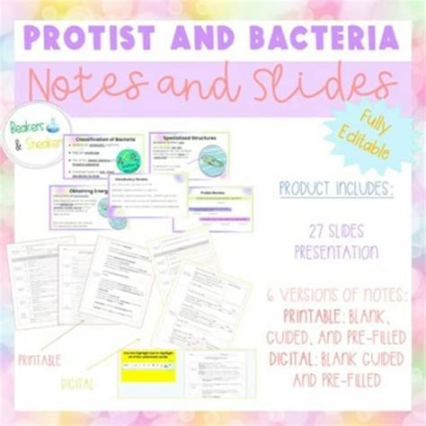 No Prep Fully Editable Digital And Printable Protist And Bacteria Notes