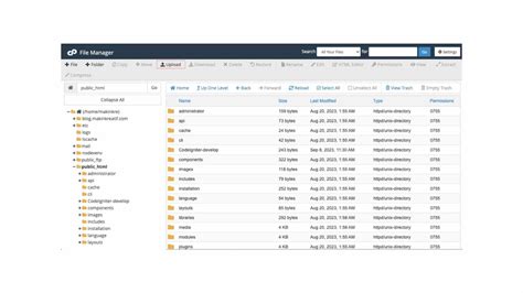 5 Cara Upload Web Ke Hosting Melalui Cpanel Dengan Mudah