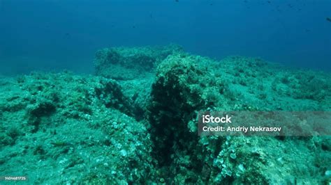 물고기 학교는 지각 판 위의 해저에서 균열 위에서 수영합니다 바다 바닥에있는 판의 Tiktanic 변위 지중해 수중 바다 풍경 지중해 지진에 대한 스톡 사진 및 기타 이미지