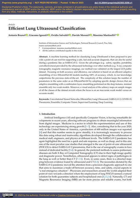 Pdf Efficient Lung Ultrasound Classification