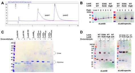 Toxins Special Issue Staphylococcus Aureus Toxins