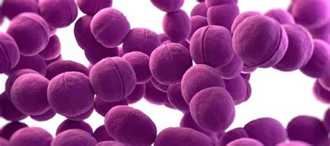 Upala Grla Simptomi Uzroci I Kada Djeluju Antibiotici