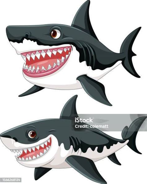 큰 이빨을 가진 백상아리의 만화 삽화 수영과 미소는 흰색 배경에 고립되어 있습니다 감정에 대한 스톡 벡터 아트 및 기타 이미지 감정 귀여운 날카로운 Istock