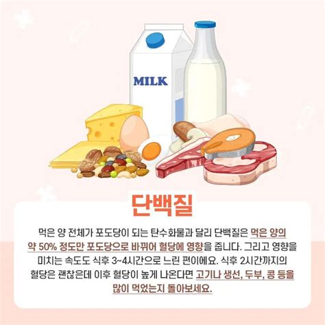 탄수화물 단백질 지방이 혈당에 미치는 영향