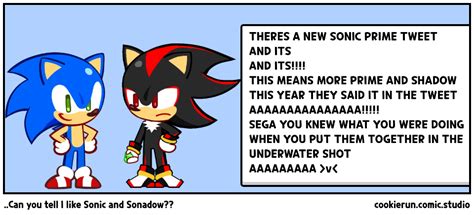 Sonadow Comic 11