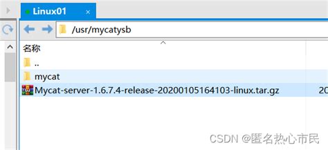Mycat数据库分库分表中间件安装教程 Csdn博客
