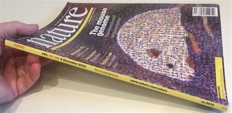 Initial Sequencing And Comparative Analysis Of The Mouse Genome With Several Related Articles