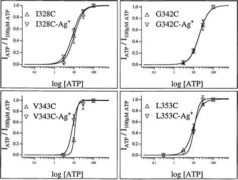 Atp Dose Response Curves Before And After Ag Dose Response Curves Download Scientific