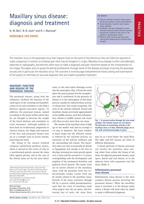 Pdf Maxillary Sinus Disease Diagnosis And Treatment