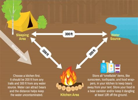 How Far Away Can A Bear Smell Food
