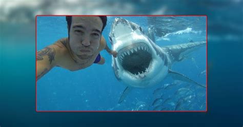 လူတွေကို တိုက်ခိုက်လိုစိတ် မရှိကြတဲ့ ငါးမန်းများ Myanmarload Myanmar Latest News