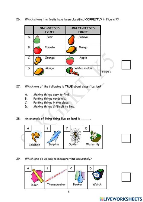 1940946 Year 4 Science Amirah Haji Mohd Zaki