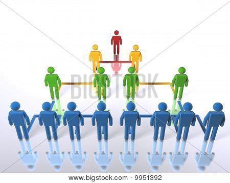 Hierarchy Chart Images Illustrations Vectors Free Bigstock
