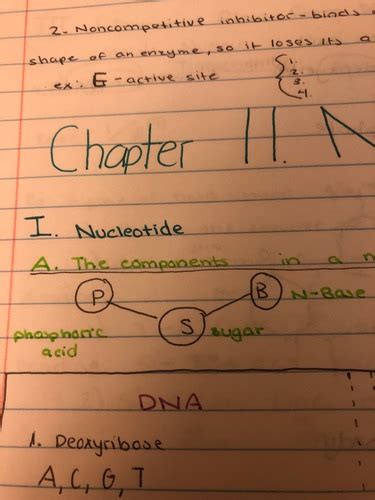 Chem Exam 4 Flashcards Quizlet