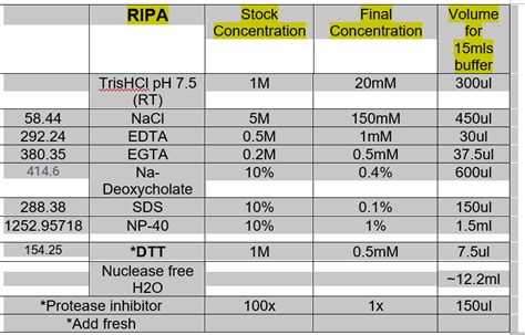 Ripa Buffer Recipe For Immunoprecipitation Bryont Blog