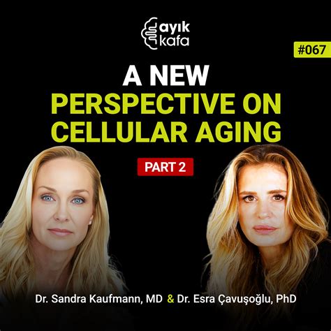 A New Perspective On Cellular Aging — Longevilab