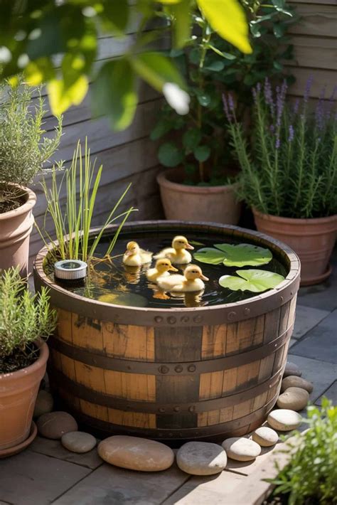 30 Backyard Duck Pond Ideas Plantglossary
