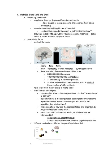 Visual Cognition Lecture 2 Visual Cognition Cogs050 116 Stuvia Us