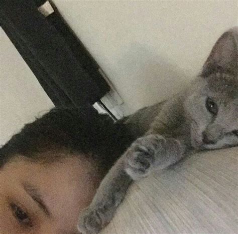 한소희에 있는 ⭑님의 핀 연예인