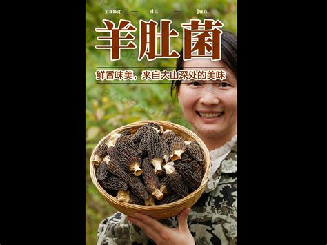 搬图猫生鲜美食素材网 羊肚菌详情页设计 btpic 站酷ZCOOL