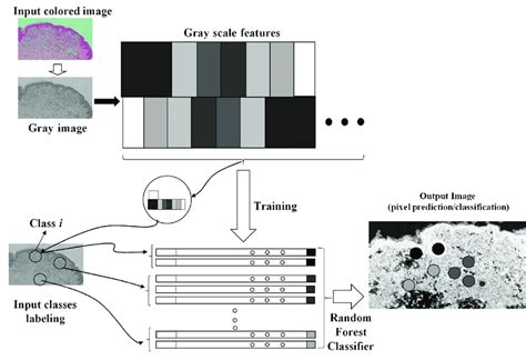 image processing procedure based on pixel feature training and random download scientific