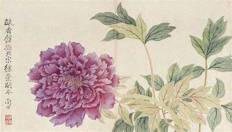 国画技法之没骨花卉画法详解，工笔没骨花卉的画法图文教程