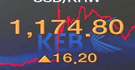 외인 김정일 사망에 매물 폭탄 증시 출렁