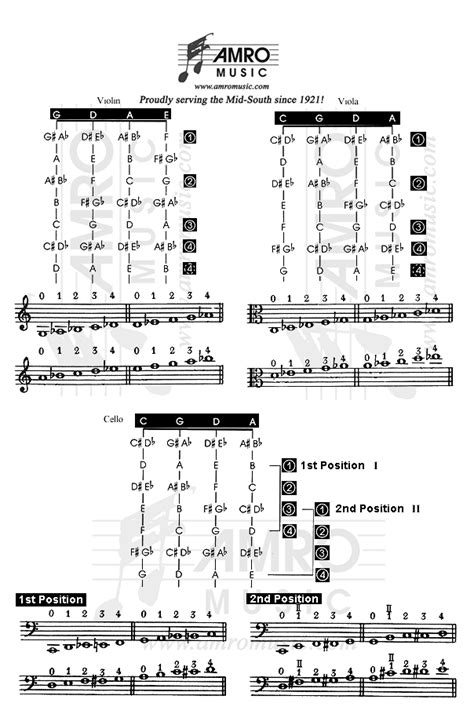 Cello Beginner I Week 1 Artofit