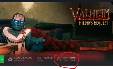 Too Much Spare Time 2951 Hours On Valheim Rvalheim