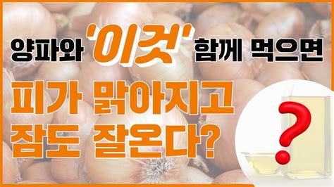 몸에 좋은 양파 함께 먹으면 영양제가 필요없다 양파와 같이 먹으면 보약이 되는 음식 궁합 3가지ㅣ양파 효능ㅣ혈관에 좋은 음식