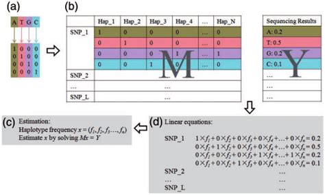 Framework Of Our Method A Encode Bases As Binary Vectors B Encode Download Scientific