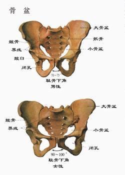 骶骨是哪个部位 女性骶骨骨折 伤感说说吧