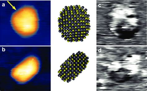 Orientation Dependent Imaging Of Single Particles With Subnanometer Download Scientific Diagram