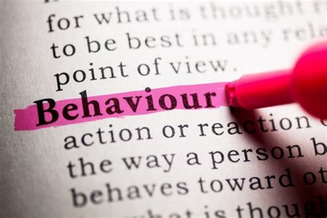 Pure Blue Ocean Skills Vs Behaviours