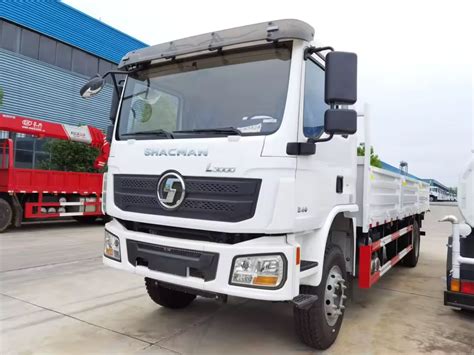 Algeria Market Shacman D Long L3000 4x2 210hp Normal Cargo Truck