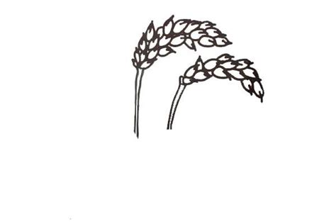 稻秧简笔画 稻简笔画 伤感说说吧