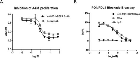 Anti Pd1 X Egfr Bsab Inhibited Proliferation Of Egfr Overexpressing Download Scientific Diagram