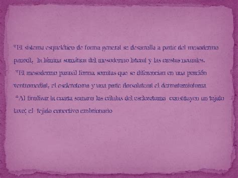 Desarrollo Del Sistema Esqueltico El Sistema Esqueltico De
