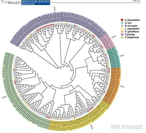 文献解读 榼藤染色体水平基因组组装为三萜皂苷的生物合成提供新视角！ 知乎