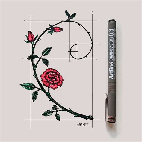 Parrot Golden Ratio Artofit