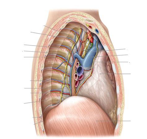Ex 3 Lab 8 Diagram Quizlet